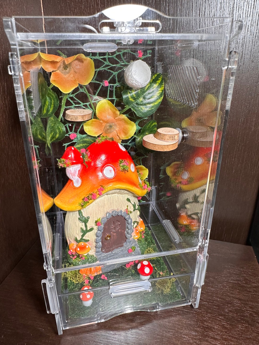 Custom Jumping Spider Enclosure Read Description - Etsy