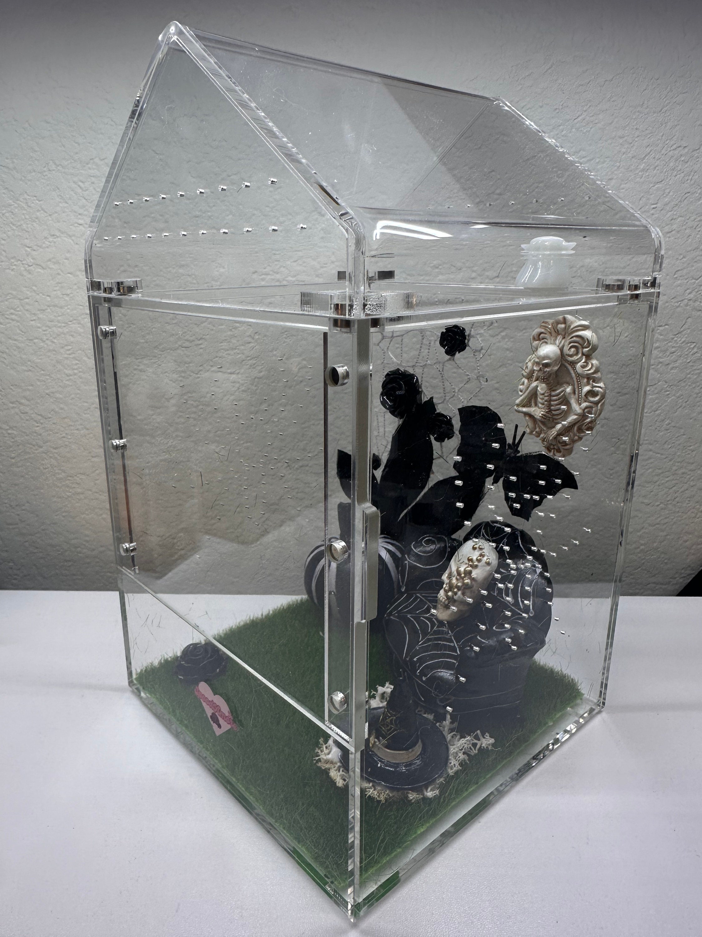 Large Spooky Jumping Spider Enclosure - Etsy