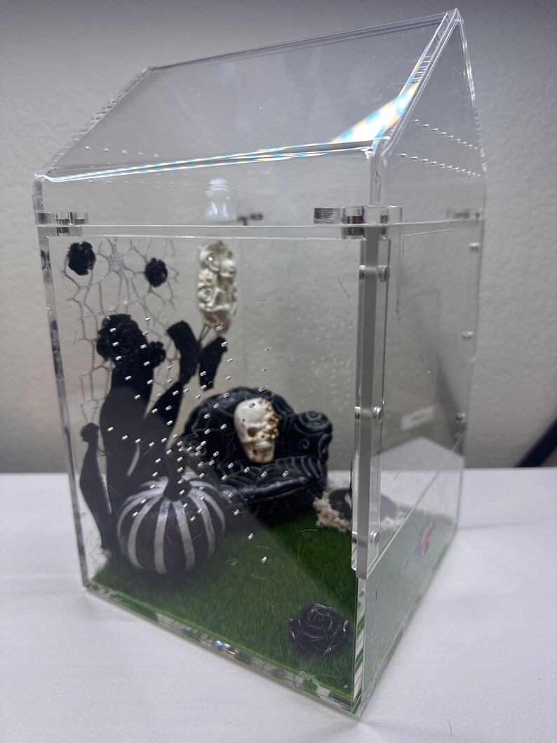 Large Spooky Jumping Spider Enclosure - Etsy