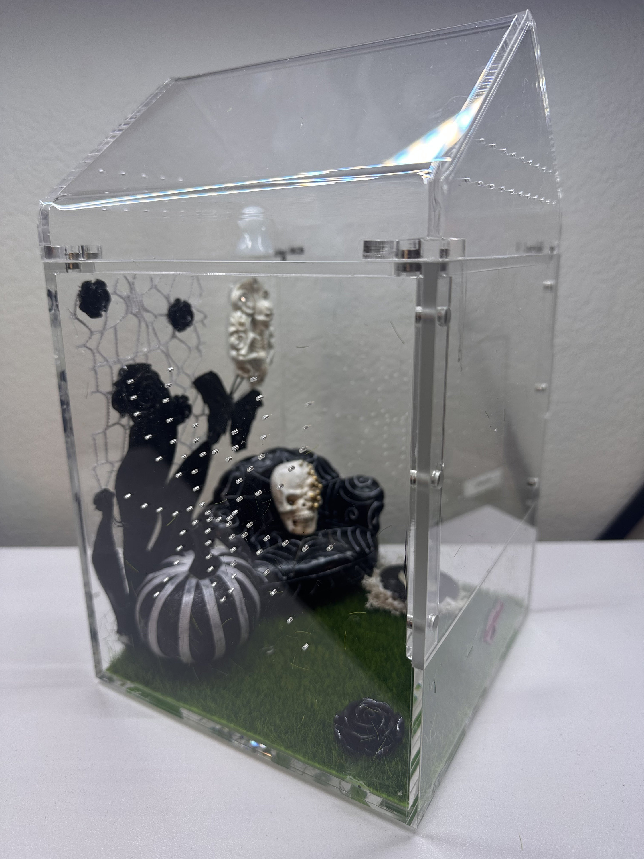 Large Spooky Jumping Spider Enclosure - Etsy