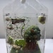 Large Spider Enclosure - Etsy