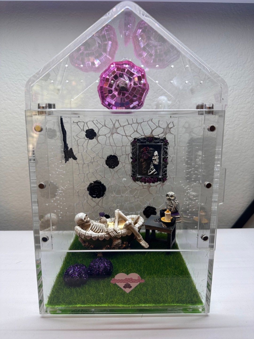 Large Spooky Jumping Spider Enclosure - Etsy