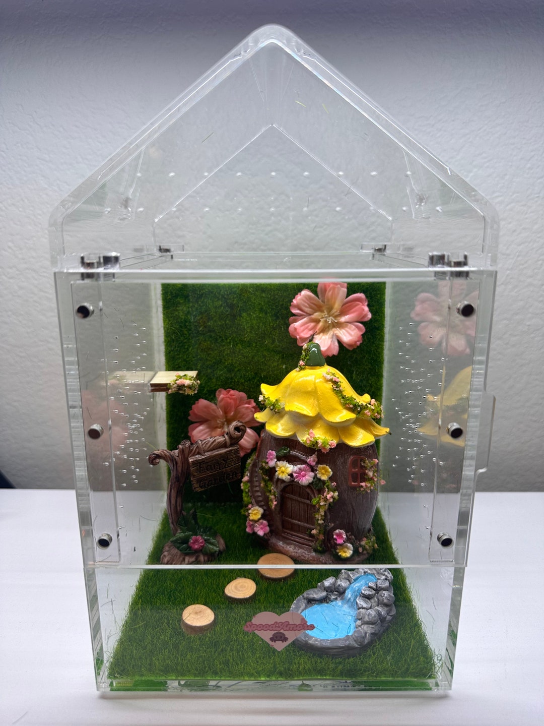 Large Jumping Spider Enclosure - Etsy