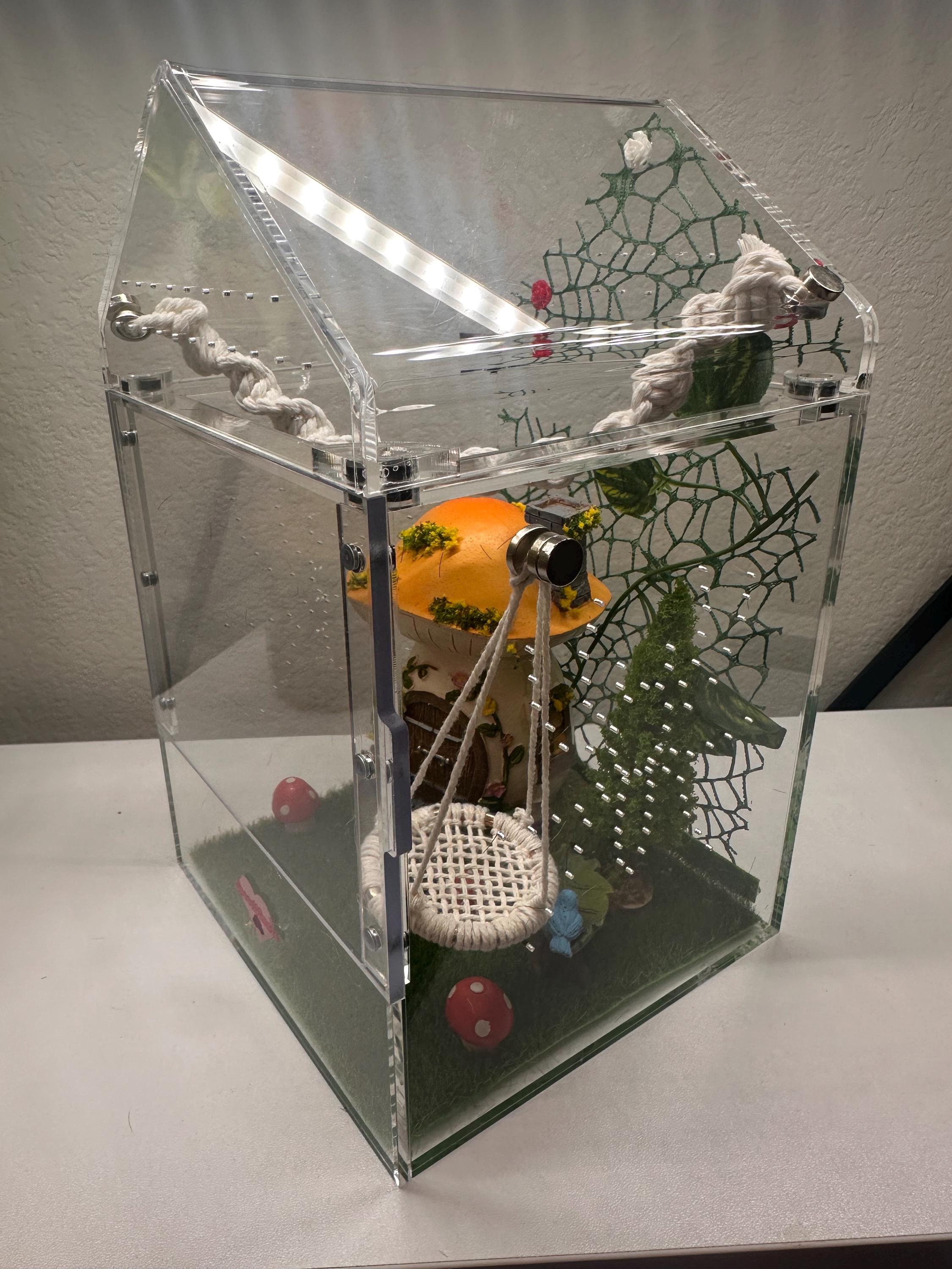 Large Jumping Spider Enclosure - Etsy