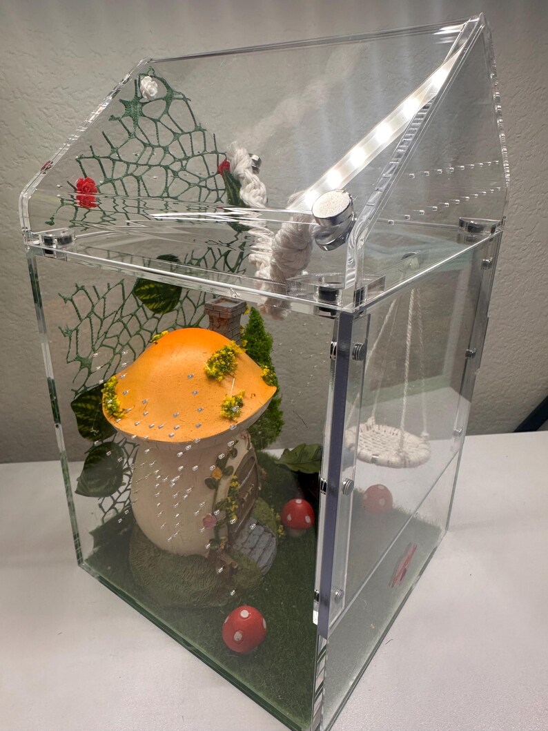 Large Jumping Spider Enclosure - Etsy