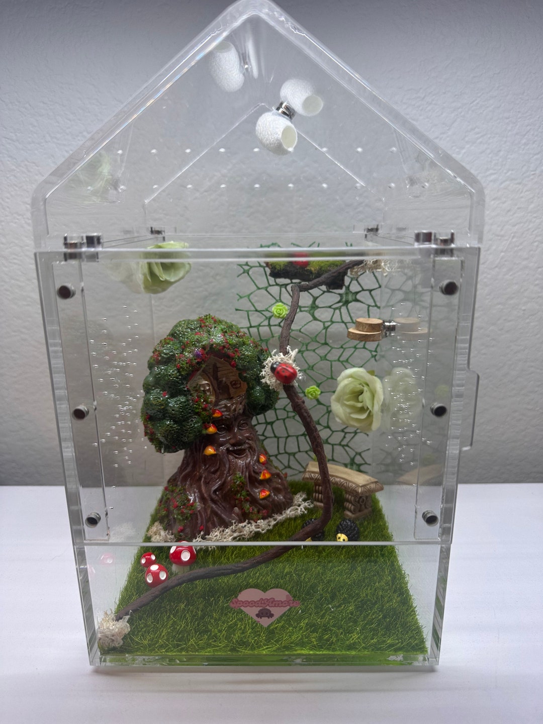 Large Spider Enclosure - Etsy
