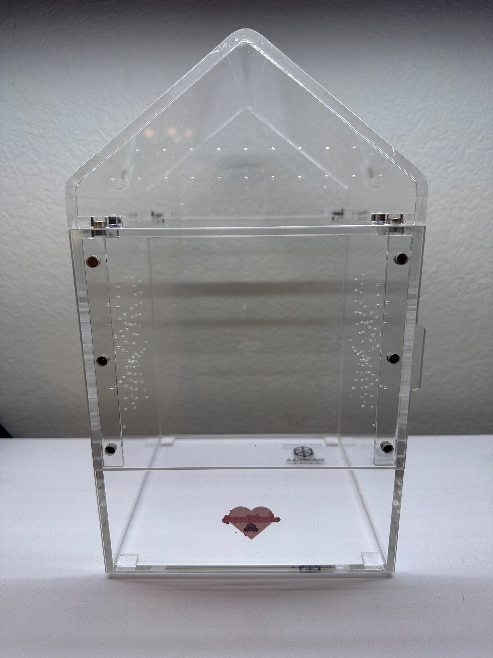 Custom Jumping Spider Enclosure- Read Description - Etsy