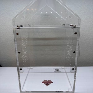 Custom Jumping Spider Enclosure- Read Description - Etsy