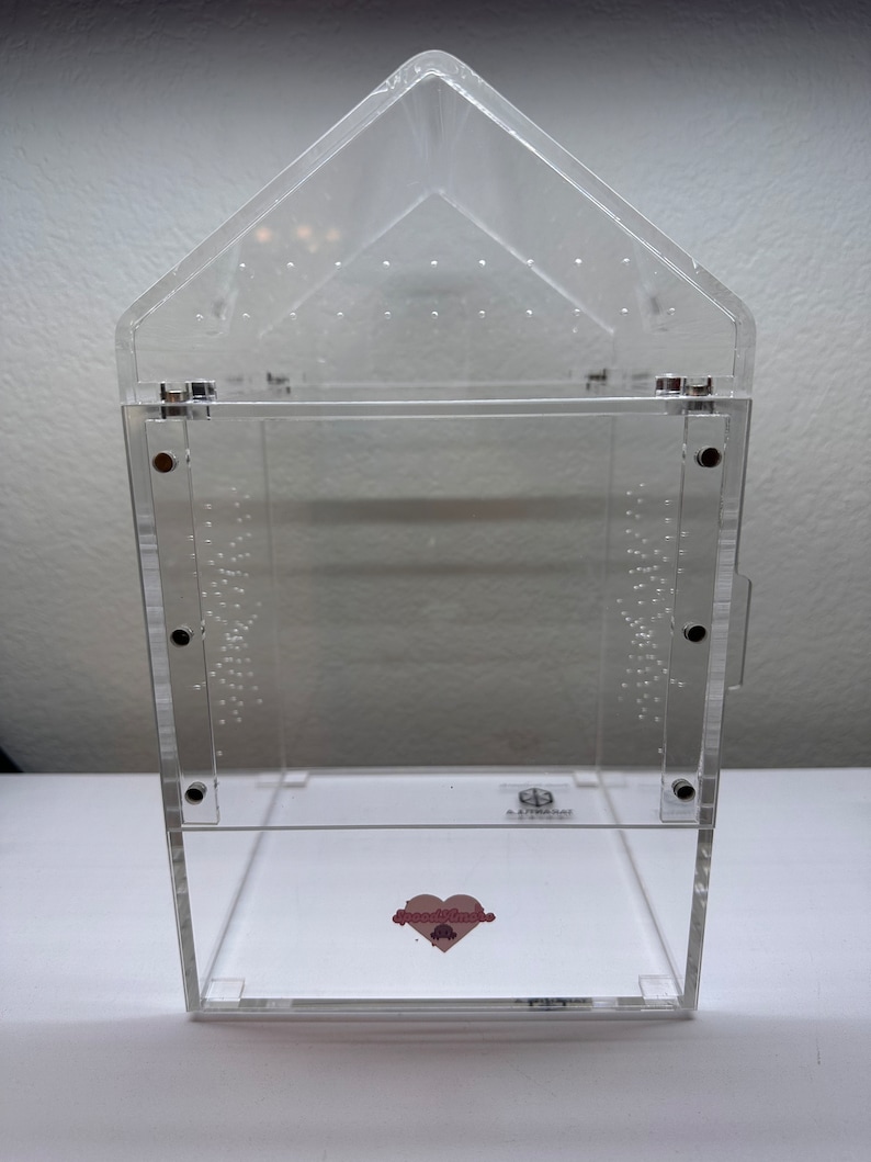 Custom Jumping Spider Enclosure- Read Description - Etsy