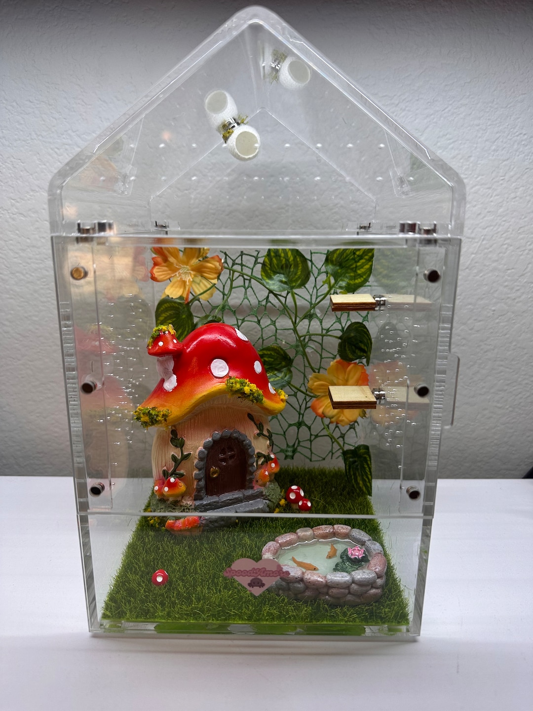 Custom Jumping Spider Enclosure- Read Description - Etsy