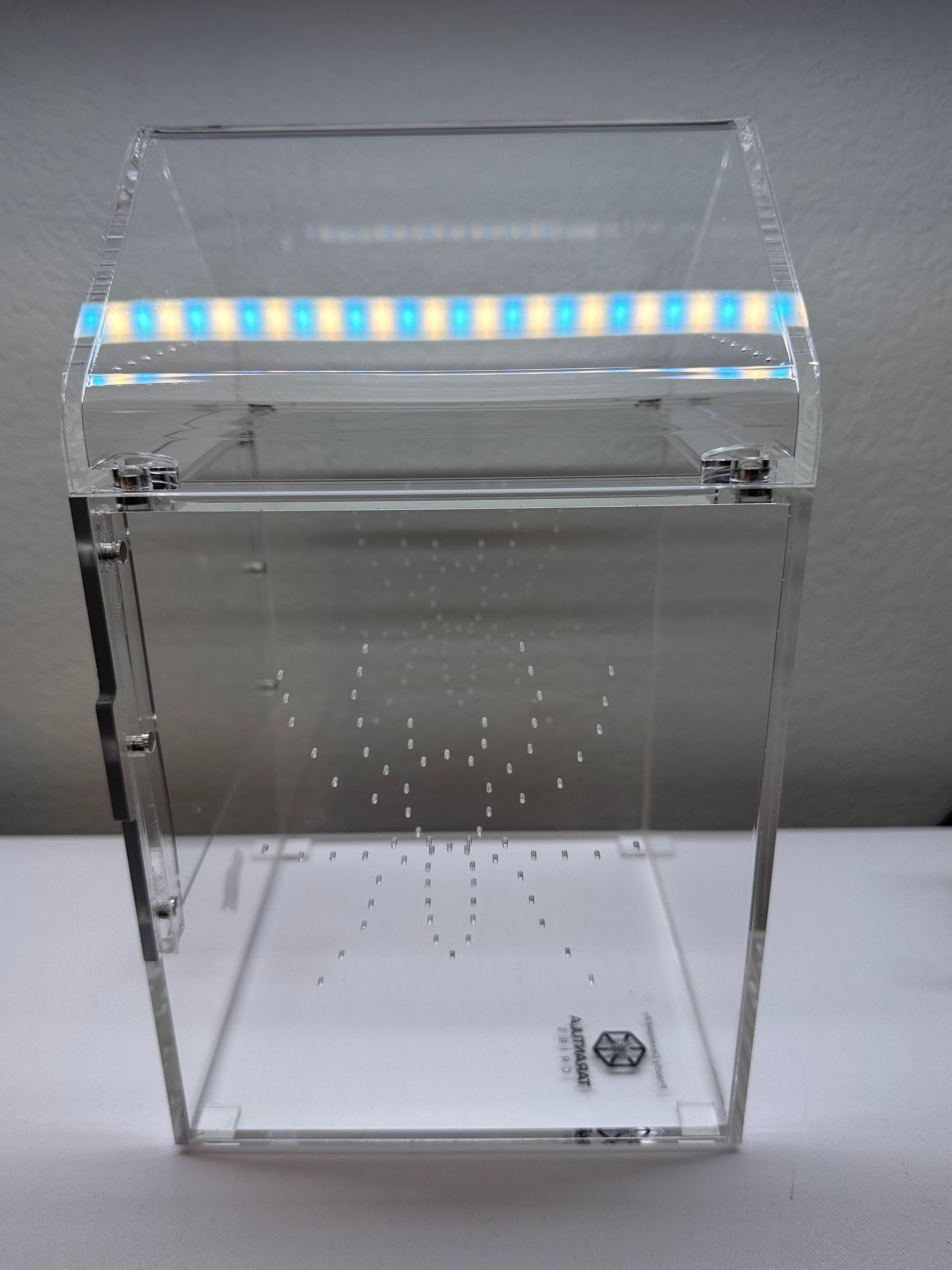 Custom Jumping Spider Enclosure- Read Description - Etsy