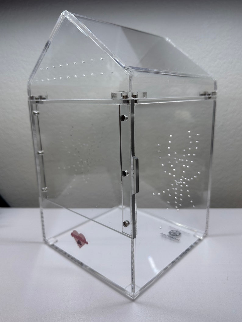 Large Spider Enclosure - Etsy