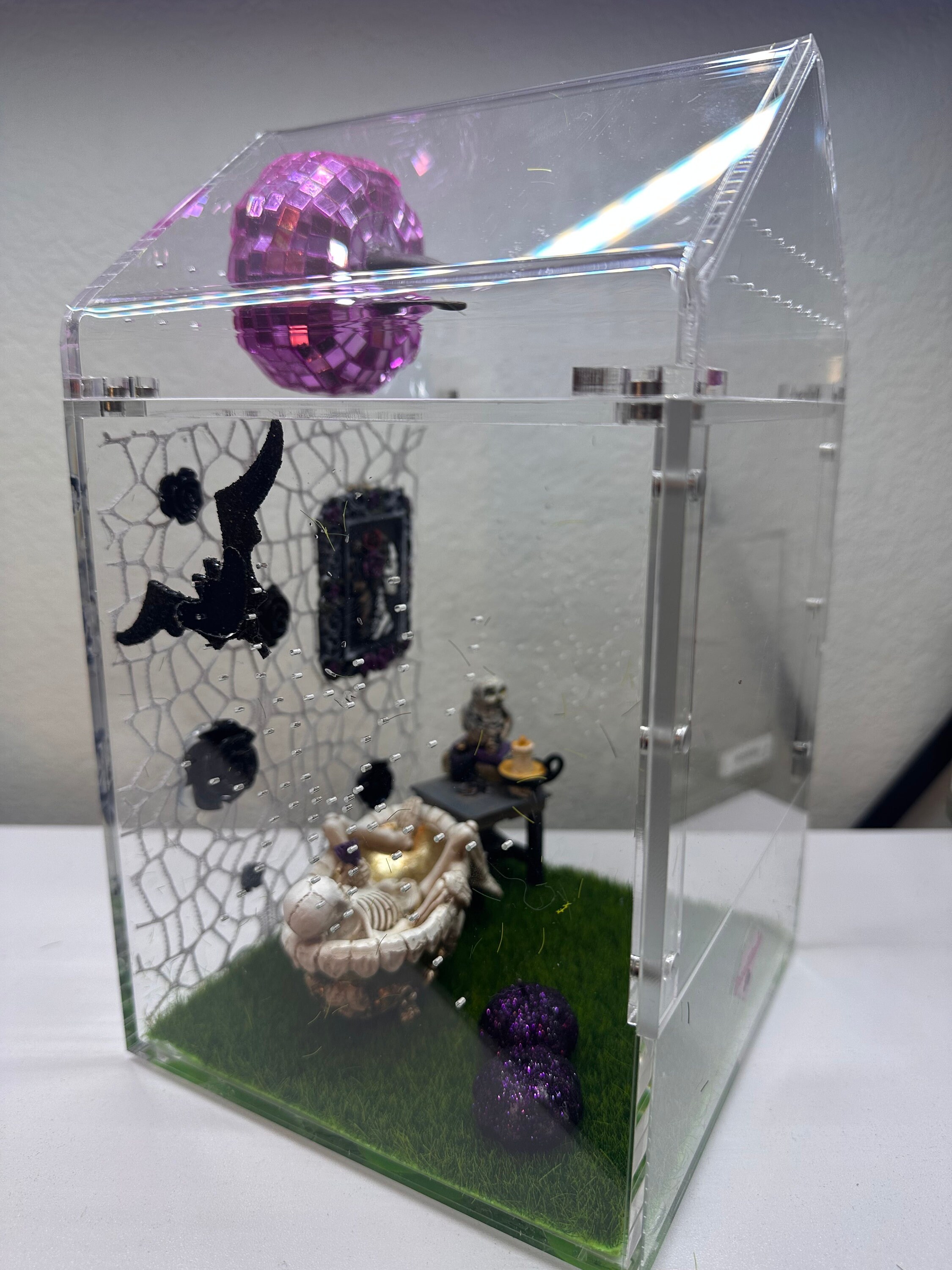 Large Spooky Jumping Spider Enclosure - Etsy