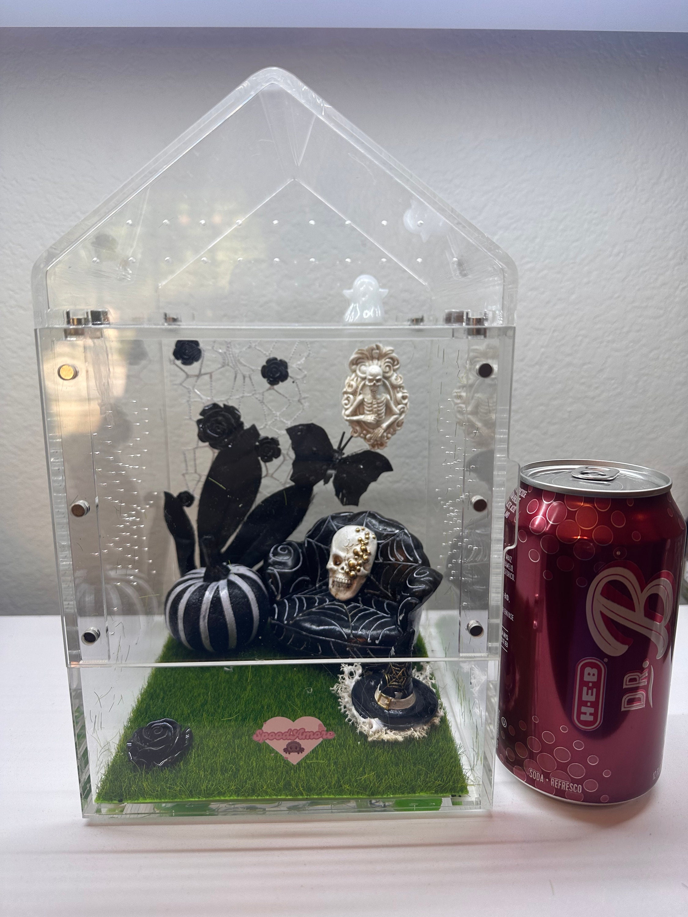 Large Spooky Jumping Spider Enclosure - Etsy