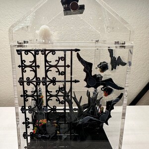 Large Spooky Jumping Spider Enclosure - Etsy