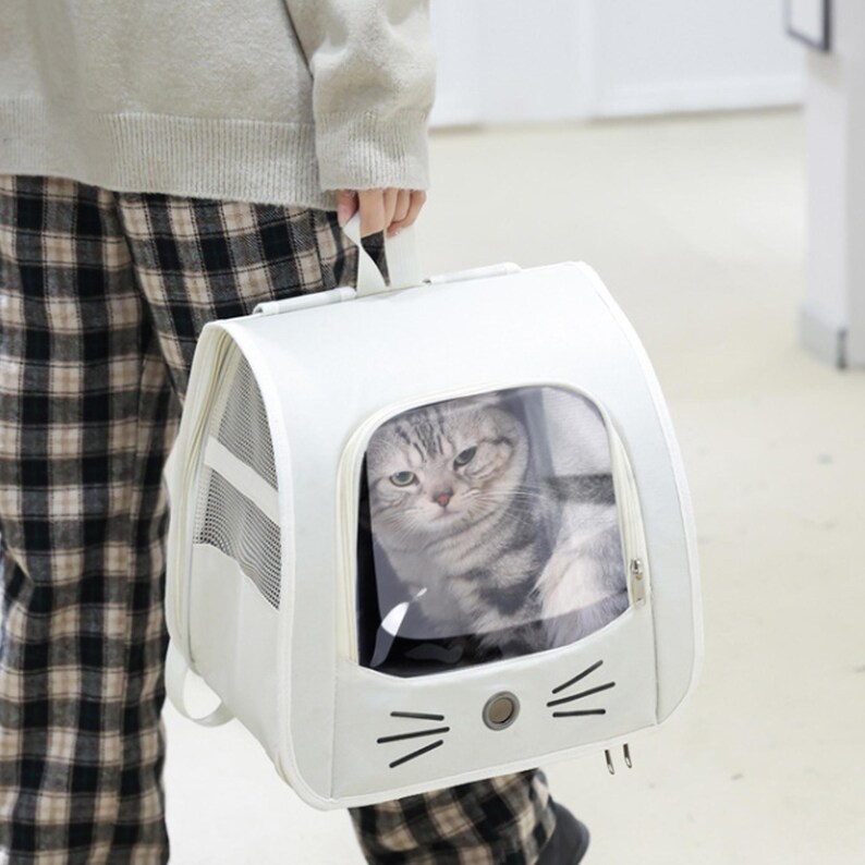Personalized Cat Backpack, Custom Pet Backpack With Name, Pet Carrier ...