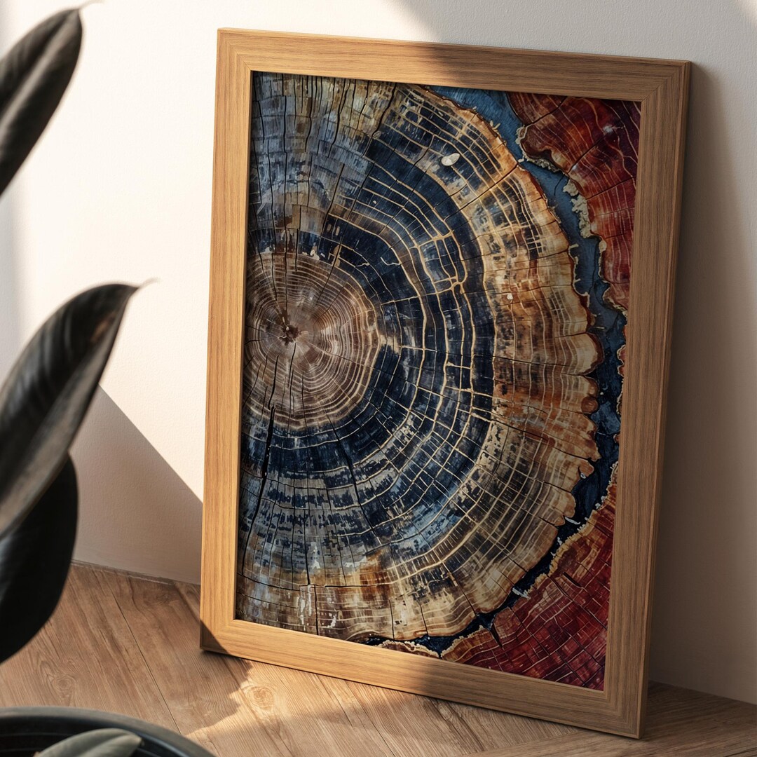 Tree Ring Framed Wall Art, Colorful Tree Ring Wall Decor, Minimalist ...