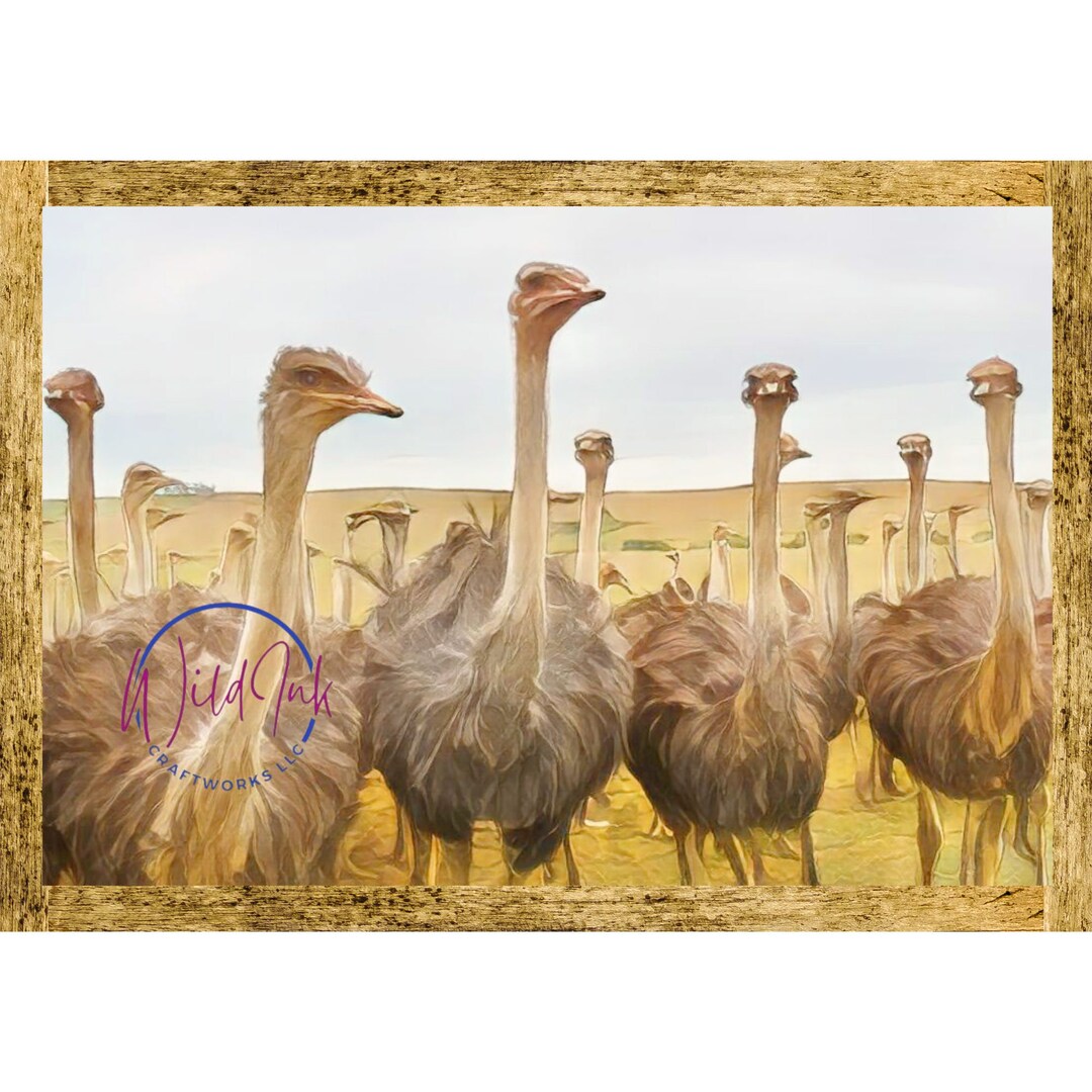 Ostrich, Wall Art, Digital Downloads, Prints, Multiple Sizes, Multiple ...