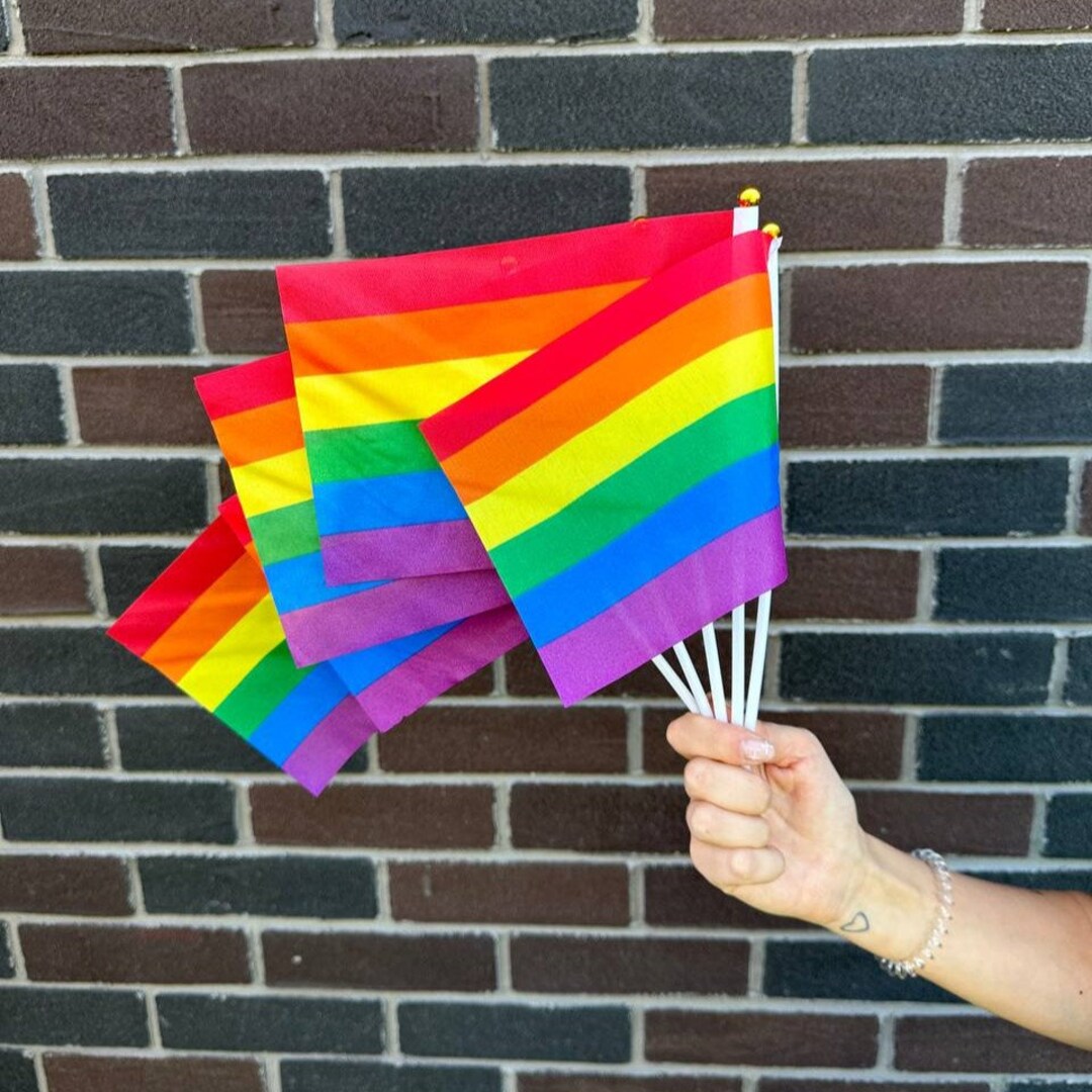 Mini Pride Flags 5 Handmade Mini Pride Flags Pride Month Flag Bundle ...