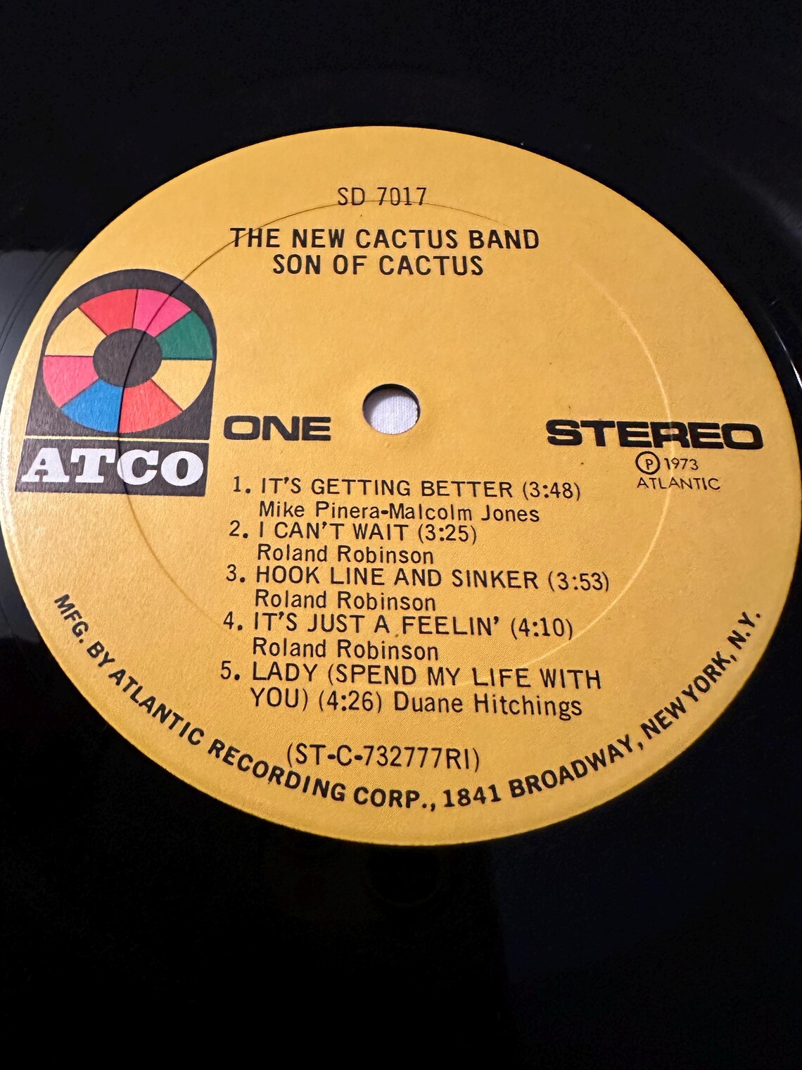 The New Cactus Band, Son of a Cactus, Vinyl Album/record, Atco Records ...