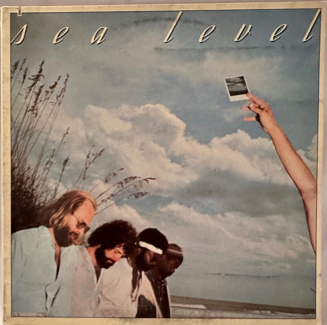 Sea Level, Self Titled Vinyl Album/record, Capricorn Records, 1977, CP ...