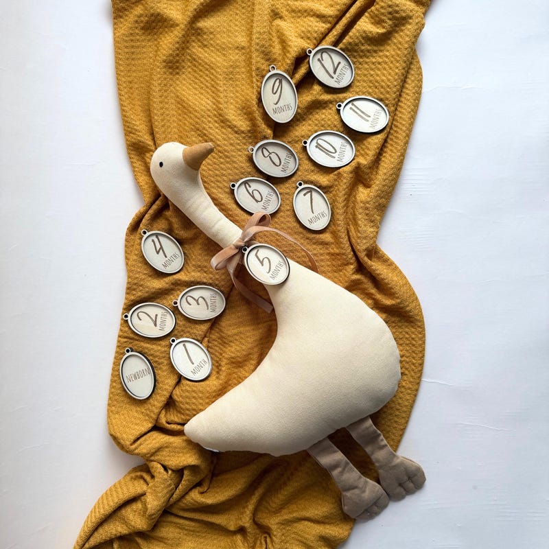 Milestone Photoshoot Prop - Etsy