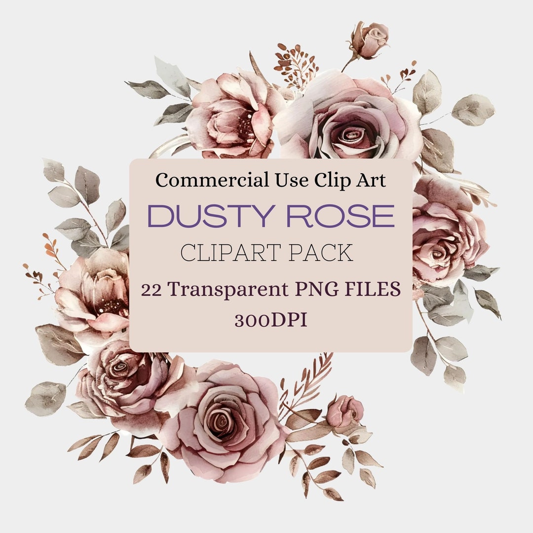 Dusty Rose Clip Art Watercolor, Commercial Use, Transparent PNG, Floral ...