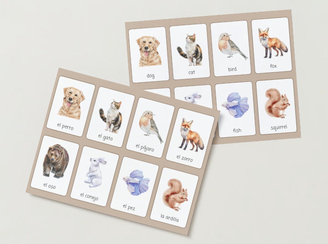 Bilingual Spanish and English Animal Learning Flashcards (11 X 8.5 In ...