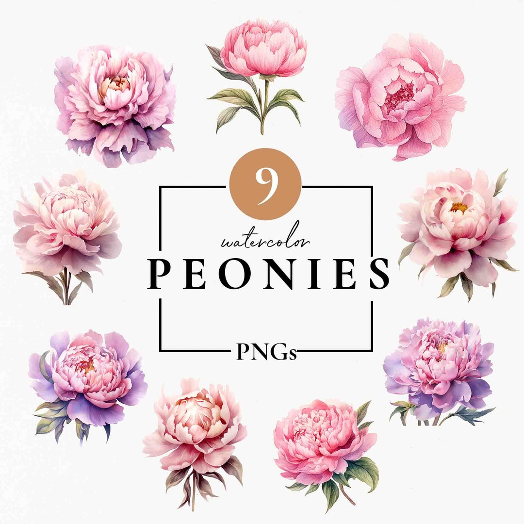 Pink Floral Clipart, Pink Peonies PNG, Pink Flowers, Blush Floral ...