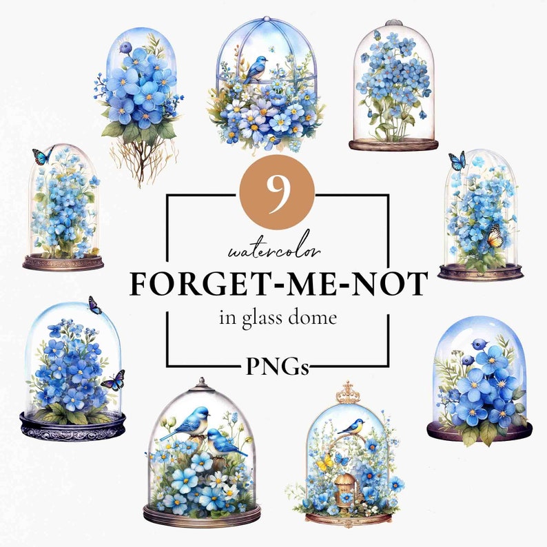 Forget Me Not Clipart Collection, Forget Me Not PNG, Blue Flowers in ...