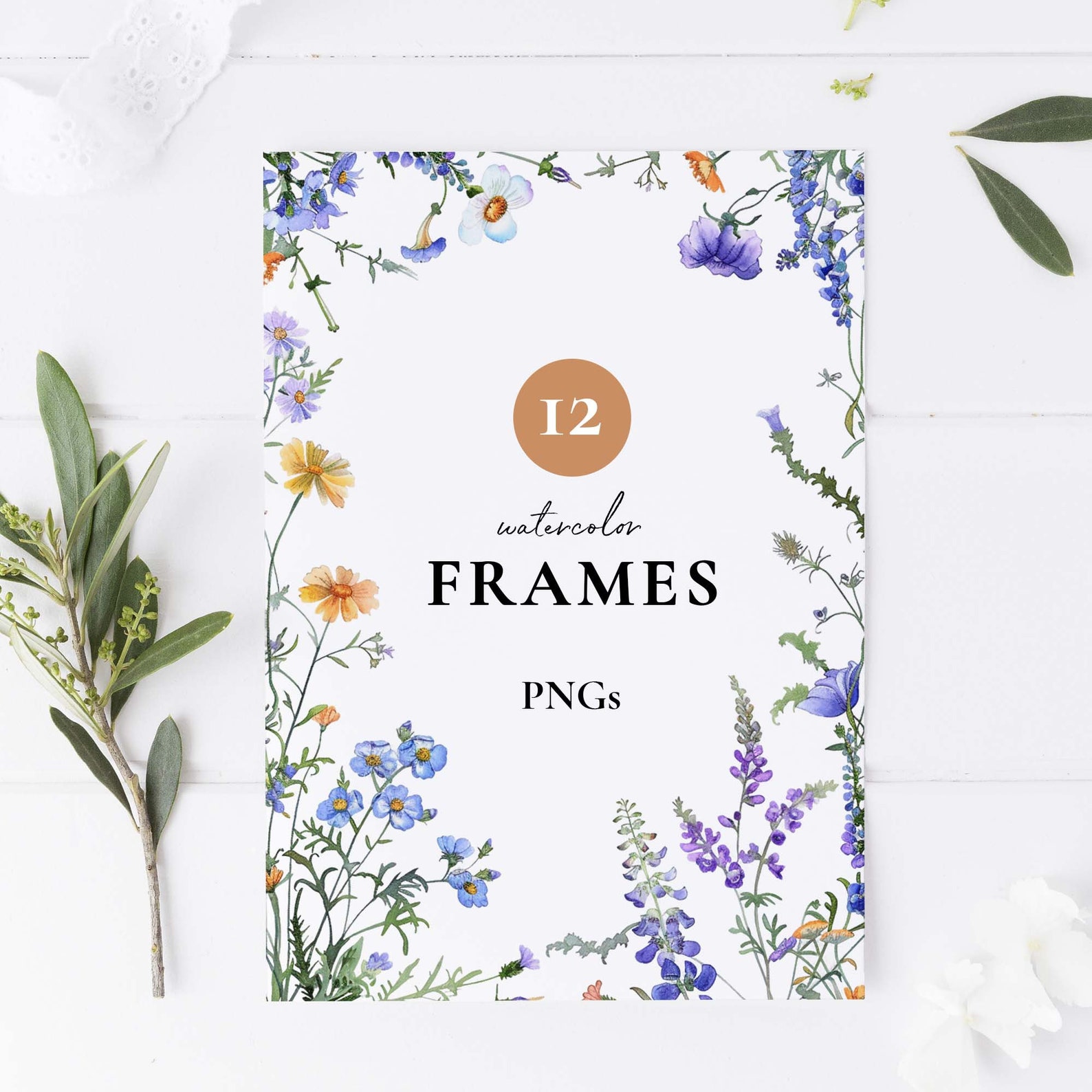 Wild Flower Clipart Frames, 5x7 Frame, PNG Floral Frames Clipart ...