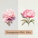 Pink Floral Clipart, Pink Peonies PNG, Pink Flowers, Blush Floral ...