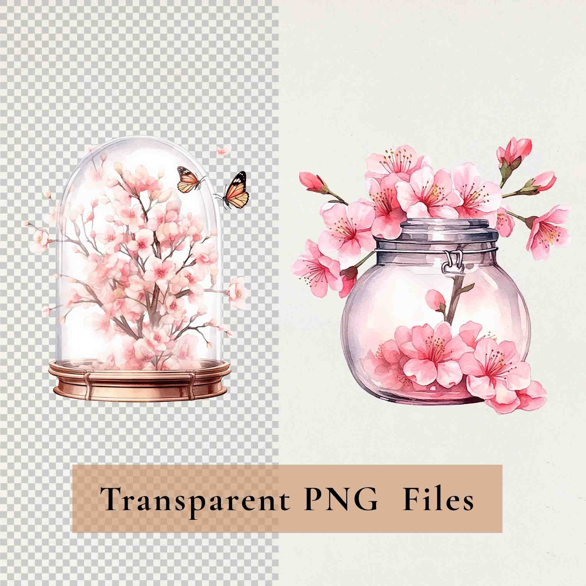 Cherry Blossom PNG Bundle, Sakura Blossom Clipart, Spring Clipart ...