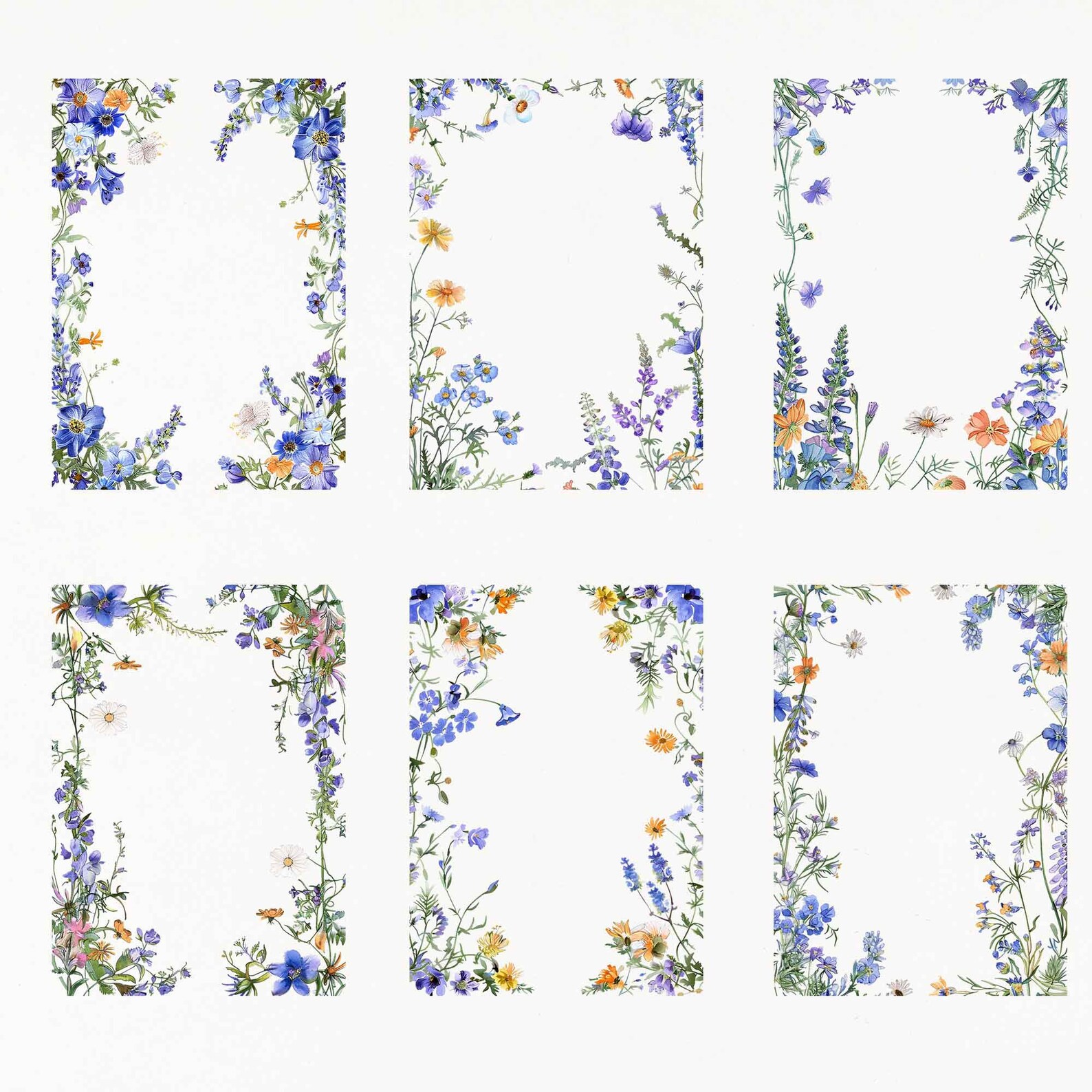 Wild Flower Clipart Frames, 5x7 Frame, PNG Floral Frames Clipart ...