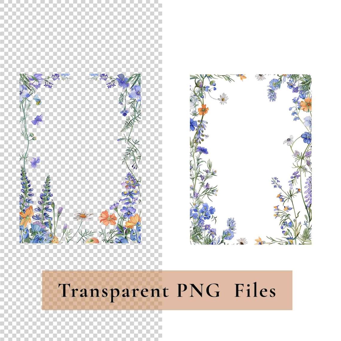 Wild Flower Clipart Frames, 5x7 Frame, PNG Floral Frames Clipart ...