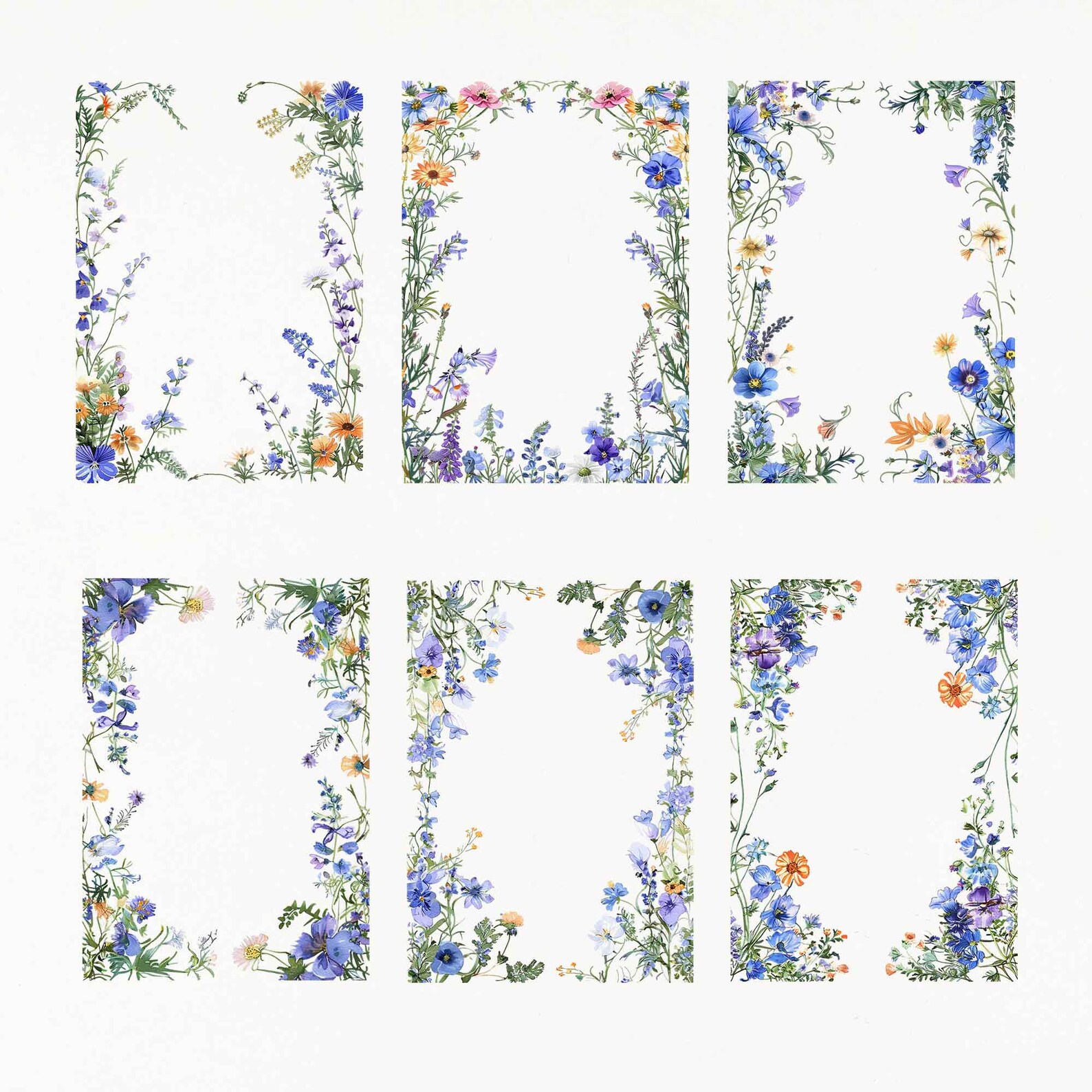 Wild Flower Clipart Frames, 5x7 Frame, PNG Floral Frames Clipart ...