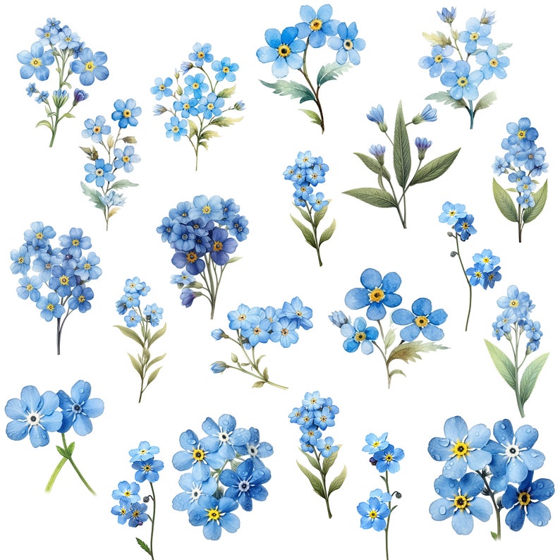 Forget Me Not Clipart Set for Creative Projects, Floral Mega Bundle ...