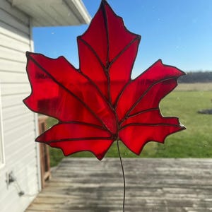 Stained Glass Maple Leaf - Etsy