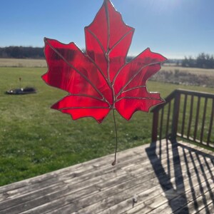 Stained Glass Maple Leaf - Etsy