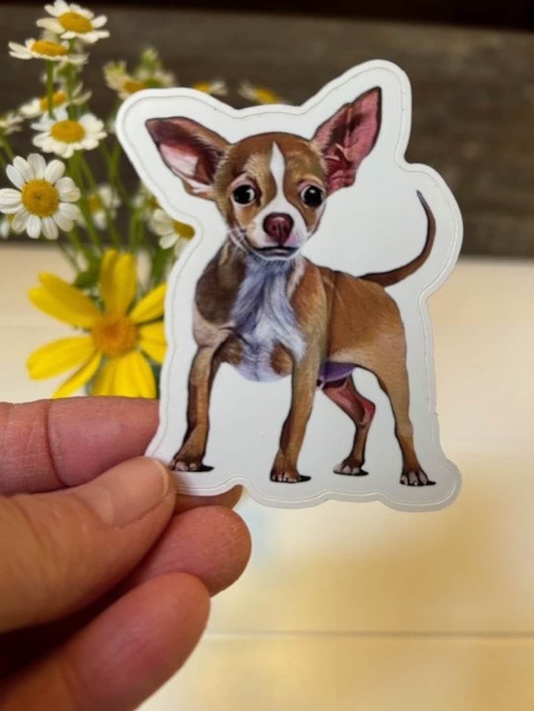Itzy Bitzy Chihuahua Vinyl Sticker. Cute Dog Stickers, Dog Lovers, Cute ...