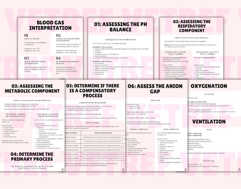 Veterinary Blood Gas Analysis Guide (digital Download) - Etsy