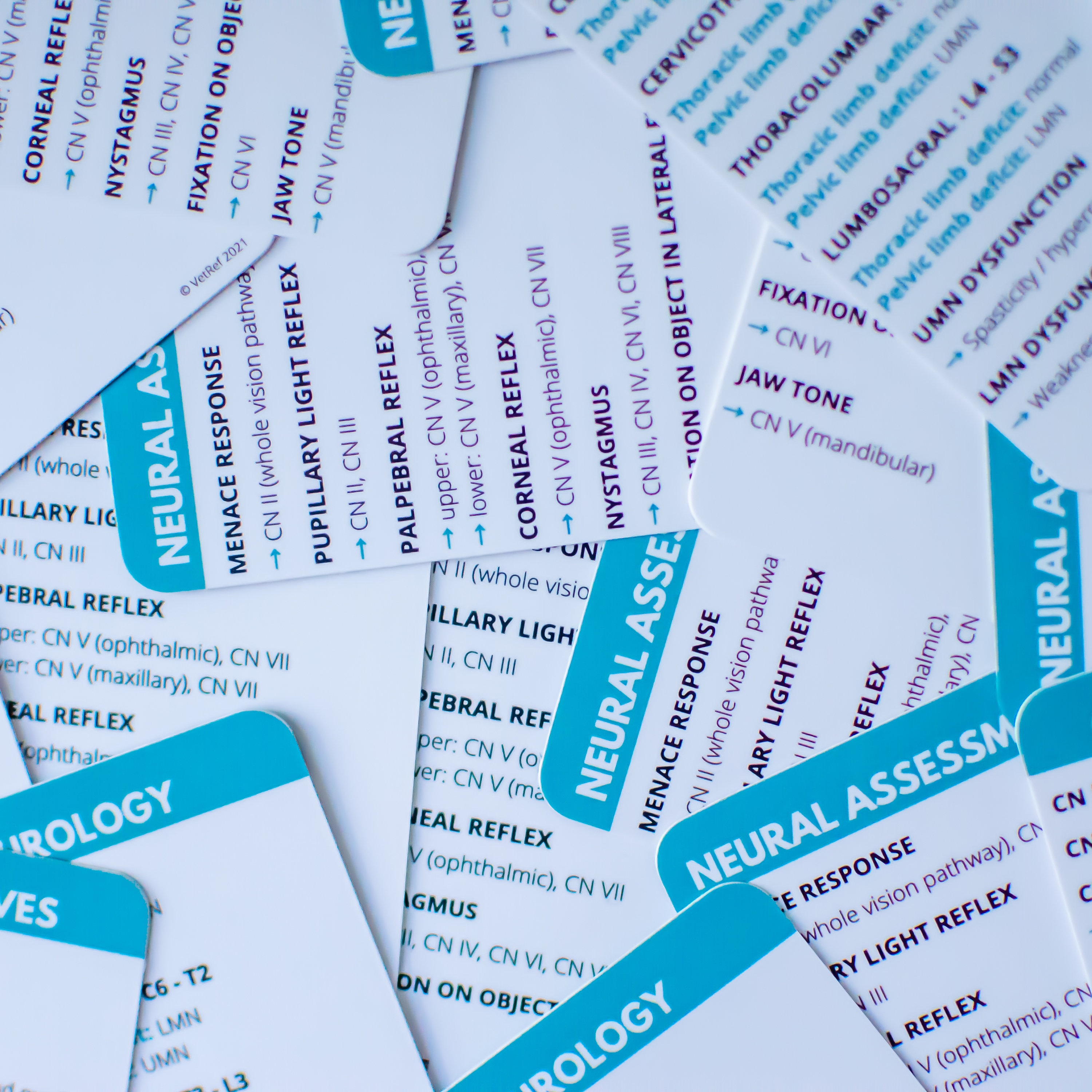 Small Animal Reference Cards - Physical Pocket Guide - 2021 Clinical ...