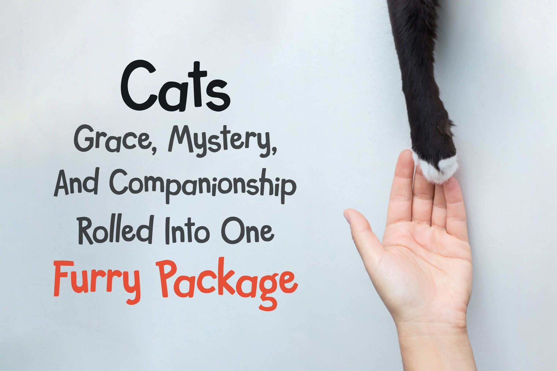 Winnie the Pooh Font Piglet Pro TTF - Etsy