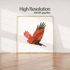 Hawk Flying Printable, Abstract Hawk Art, Fluid Art, Gifts for Birders ...