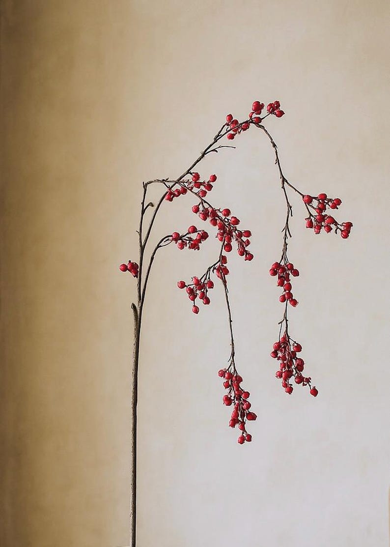 4*29''christmas Red Berry Stems,cascading Red Berry Branch,realistic ...