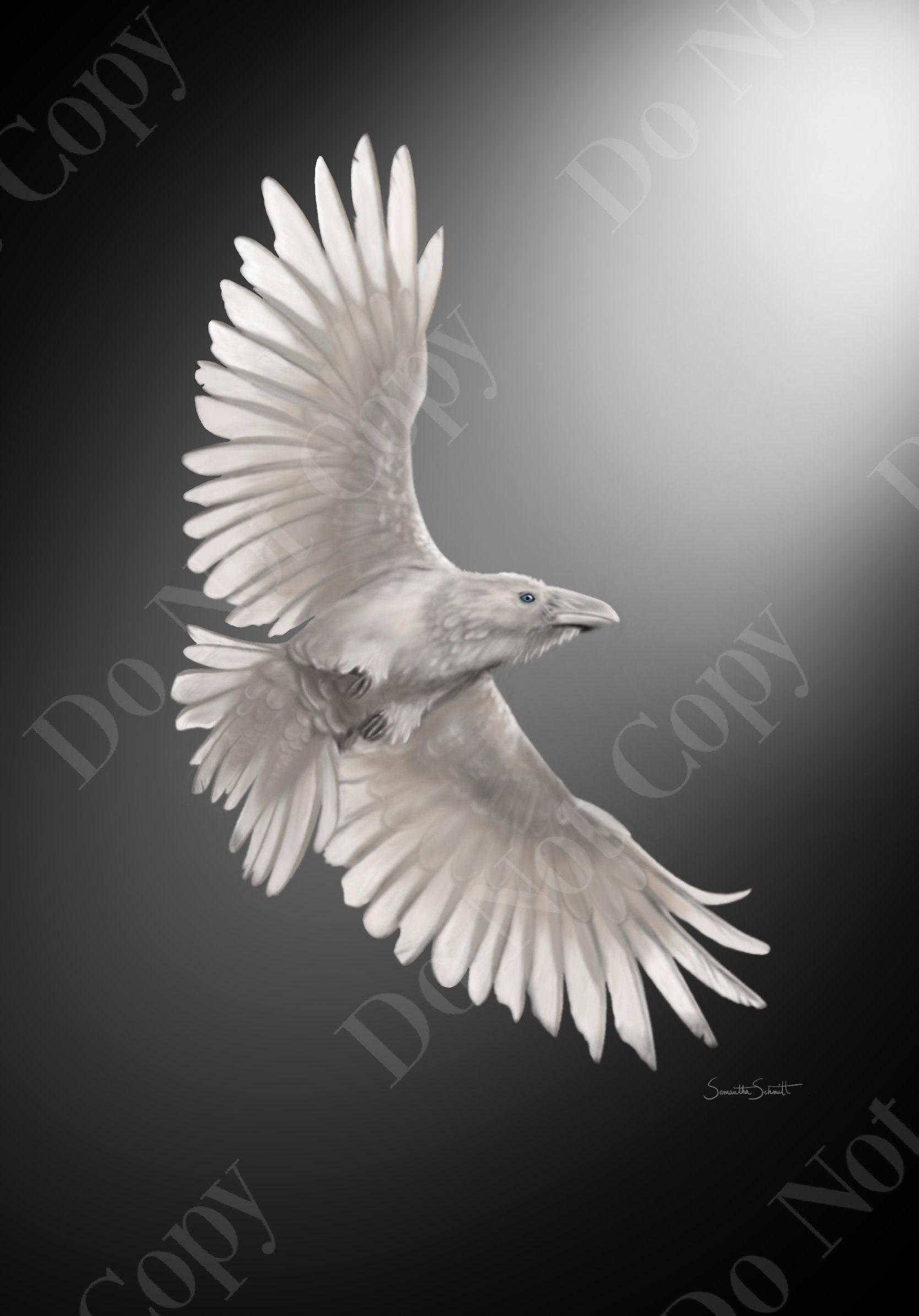 White Raven Print - Etsy