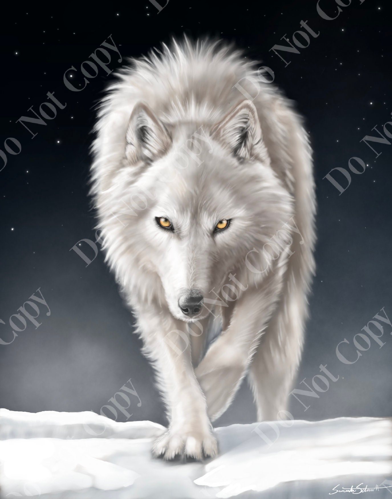 White Wolf Print - Etsy
