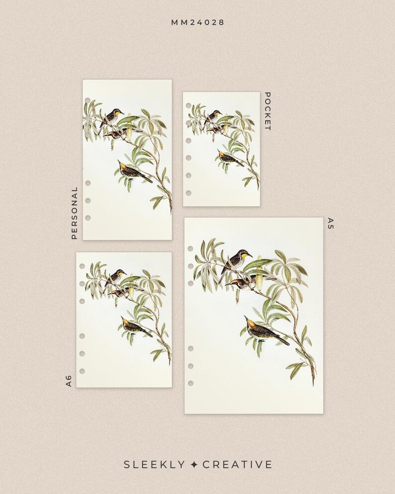 Vintage Bird Illustration Dashboard Covers | 6 Month Aesthetic Vintage ...