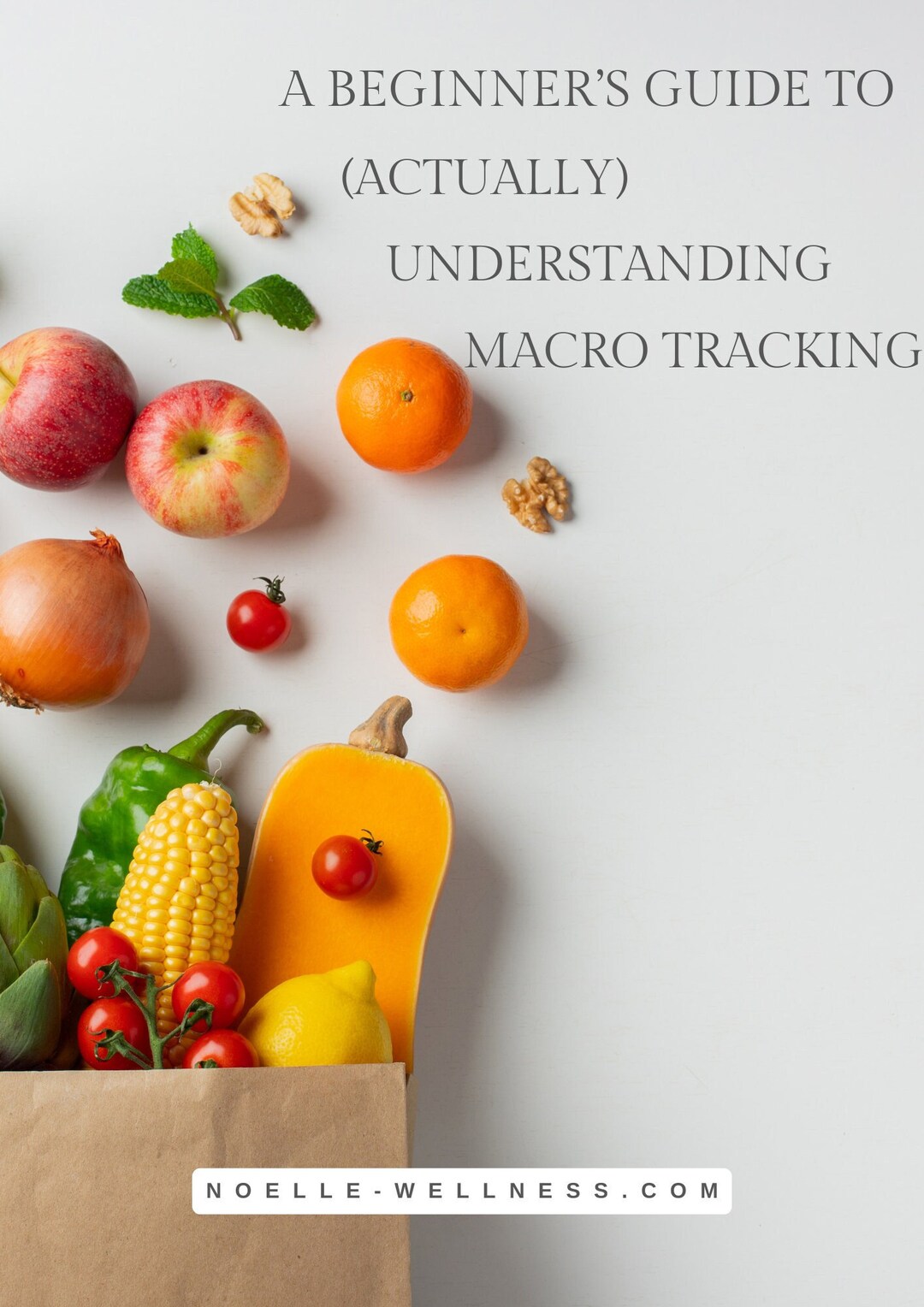 Beginners Guide to ACTUALLY Understanding Macro Tracking - Etsy