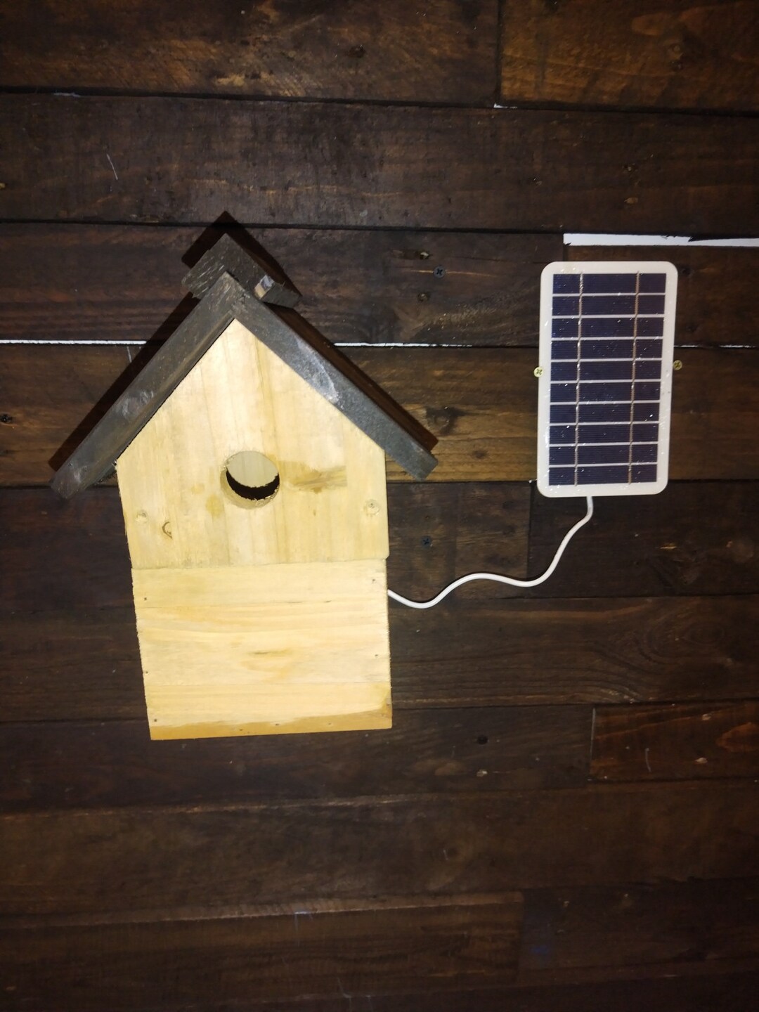 Birdhouse Nesting Box With WIFI Camera and Solar Panel - Etsy